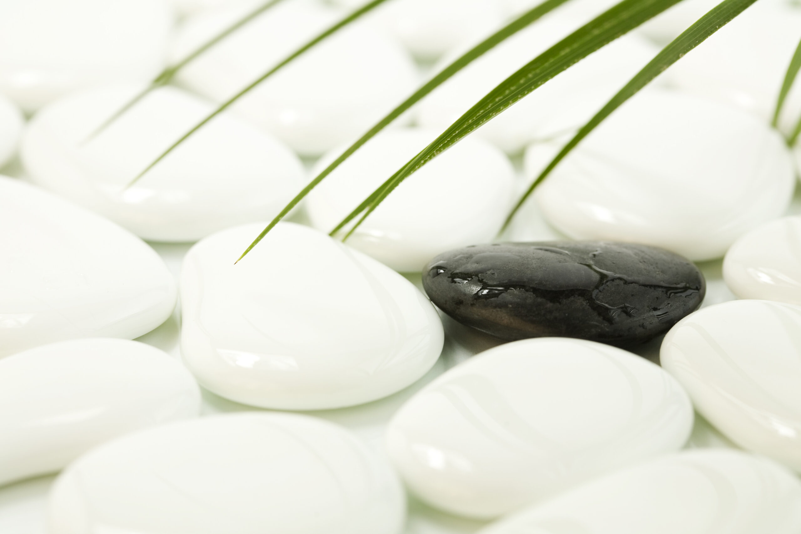 Services - ABP Contractors